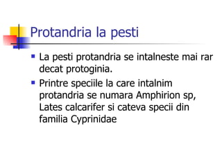 Hermafroditismul si inversiunea sexuala | PPT
