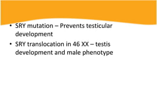 Hermaphroditism | PPTX