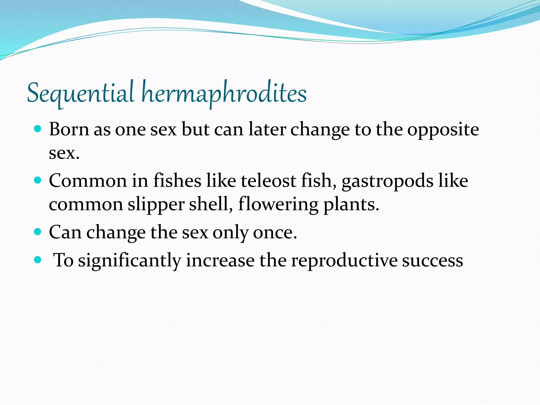 Hermaphroditism | PPTX