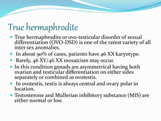 Hermaphroditism | PPTX