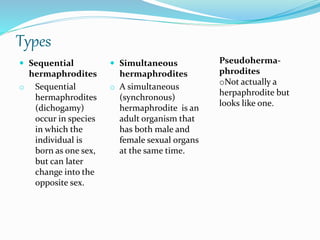 Hermaphroditism | PPTX