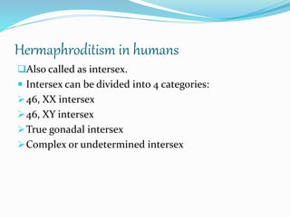 Hermaphroditism | PPTX