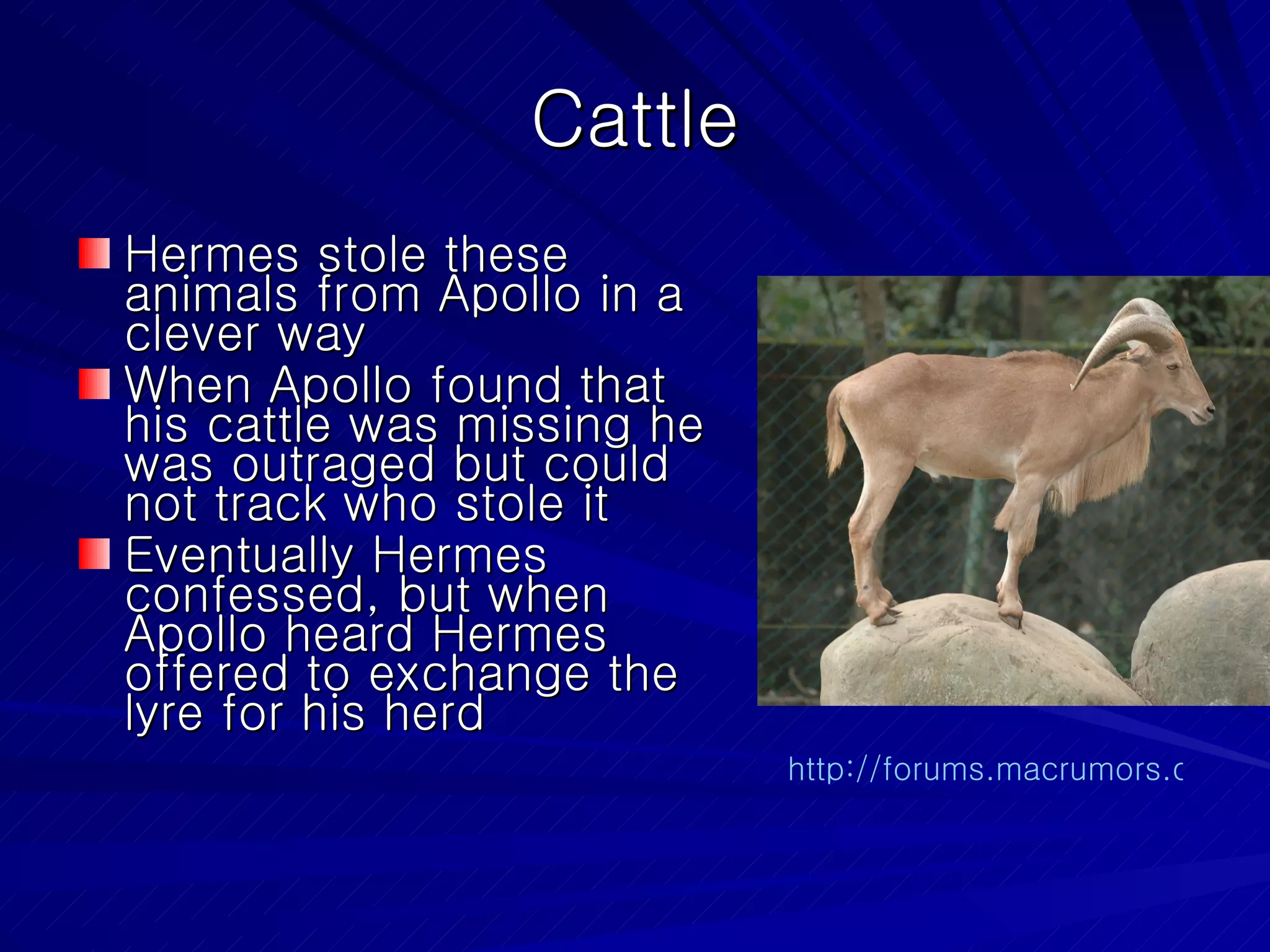 Hermes New | PPT