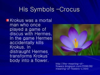 Hermes New | PPT