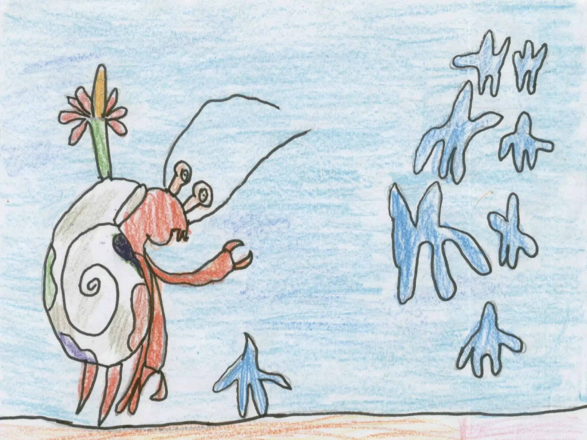 Hermit The Crab | PPS