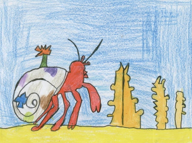 Hermit The Crab | PPS