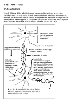 Hermosolun toiminta | PDF