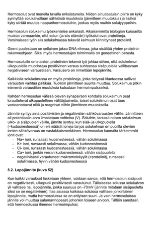 Hermosolun toiminta | PDF