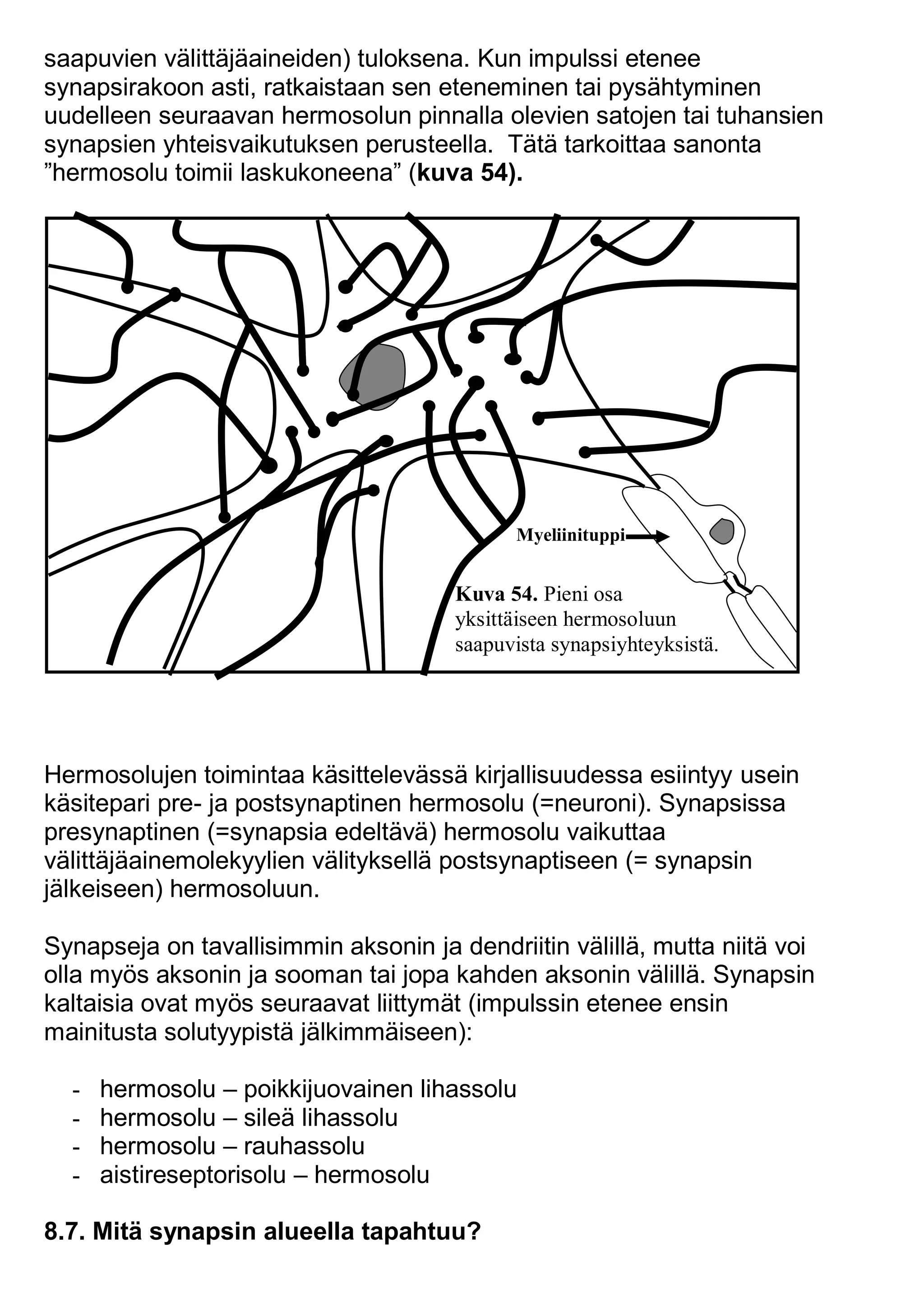 Hermosolun toiminta | PDF