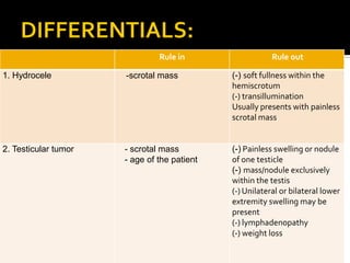 Hernia | PPTX
