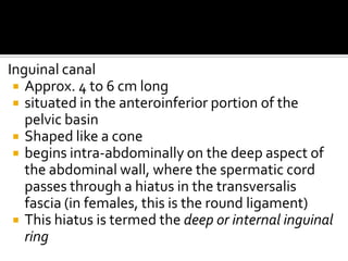 Hernia | PPTX