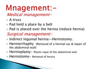 Hernia | PPTX