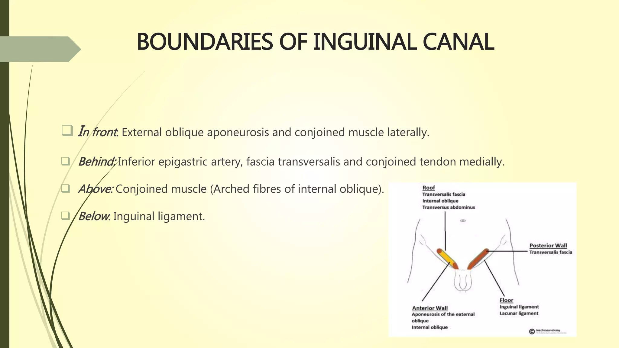 Hernia and its surgeries | PPTX