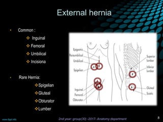 Hernia | PPSX | Digestive Disorders | Diseases and Conditions