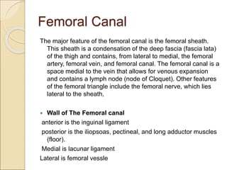 Hernia.ppt