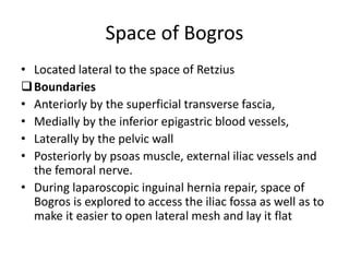 Space Of Bogros