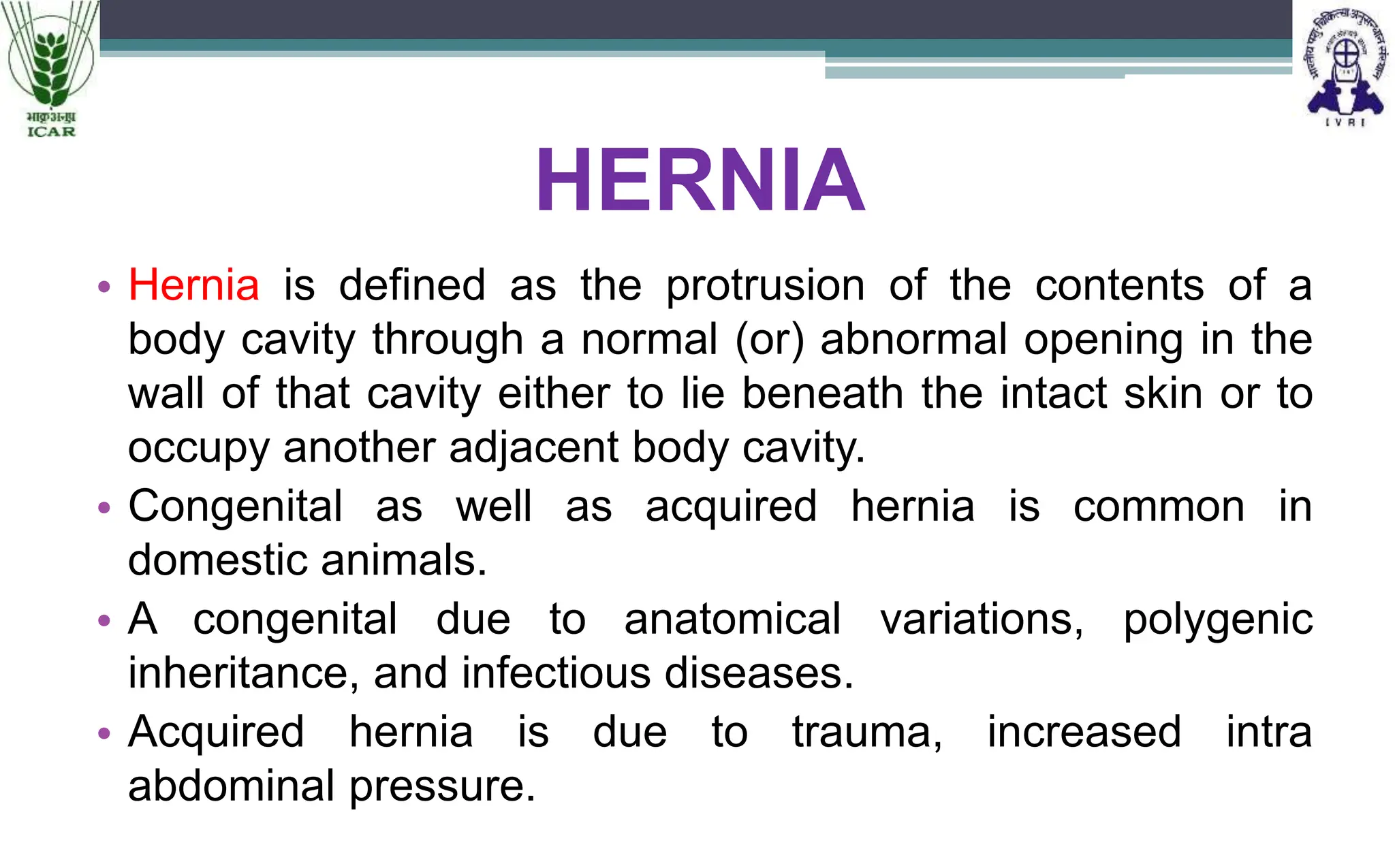 HERNIA ppt of different animal including dog cat cattle buffalo | PPTX