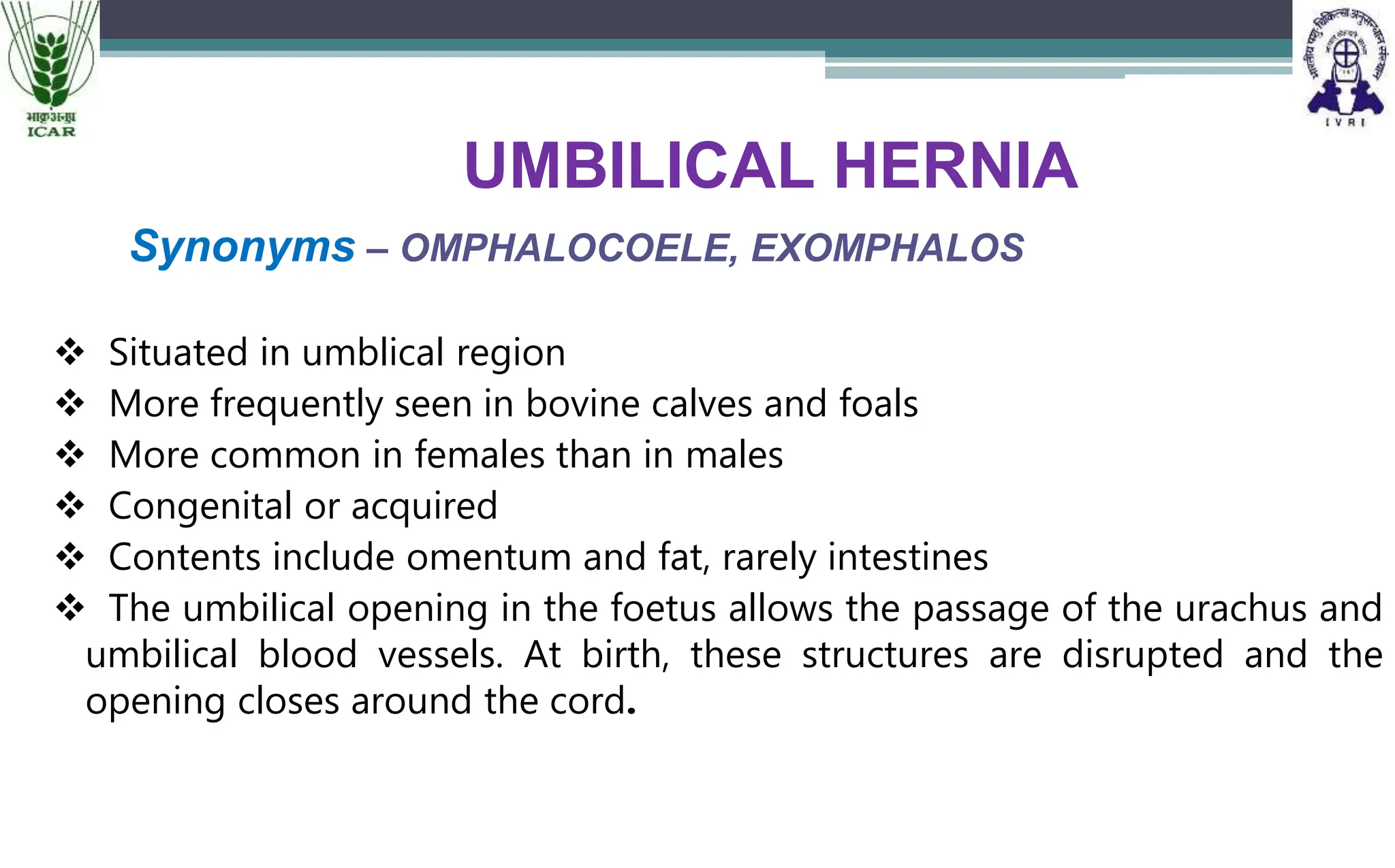 HERNIA ppt of different animal including dog cat cattle buffalo | PPTX