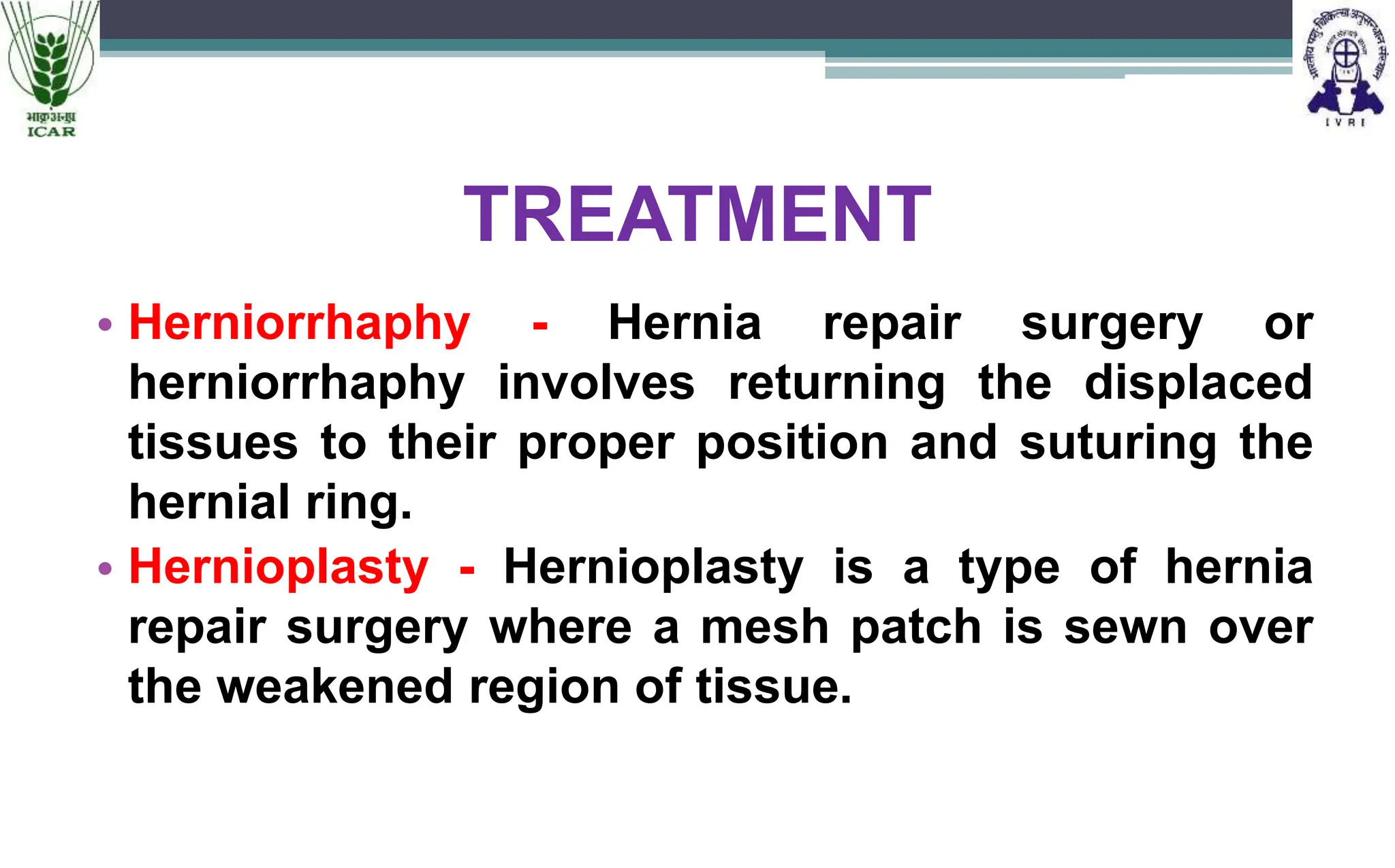 HERNIA ppt of different animal including dog cat cattle buffalo | PPTX