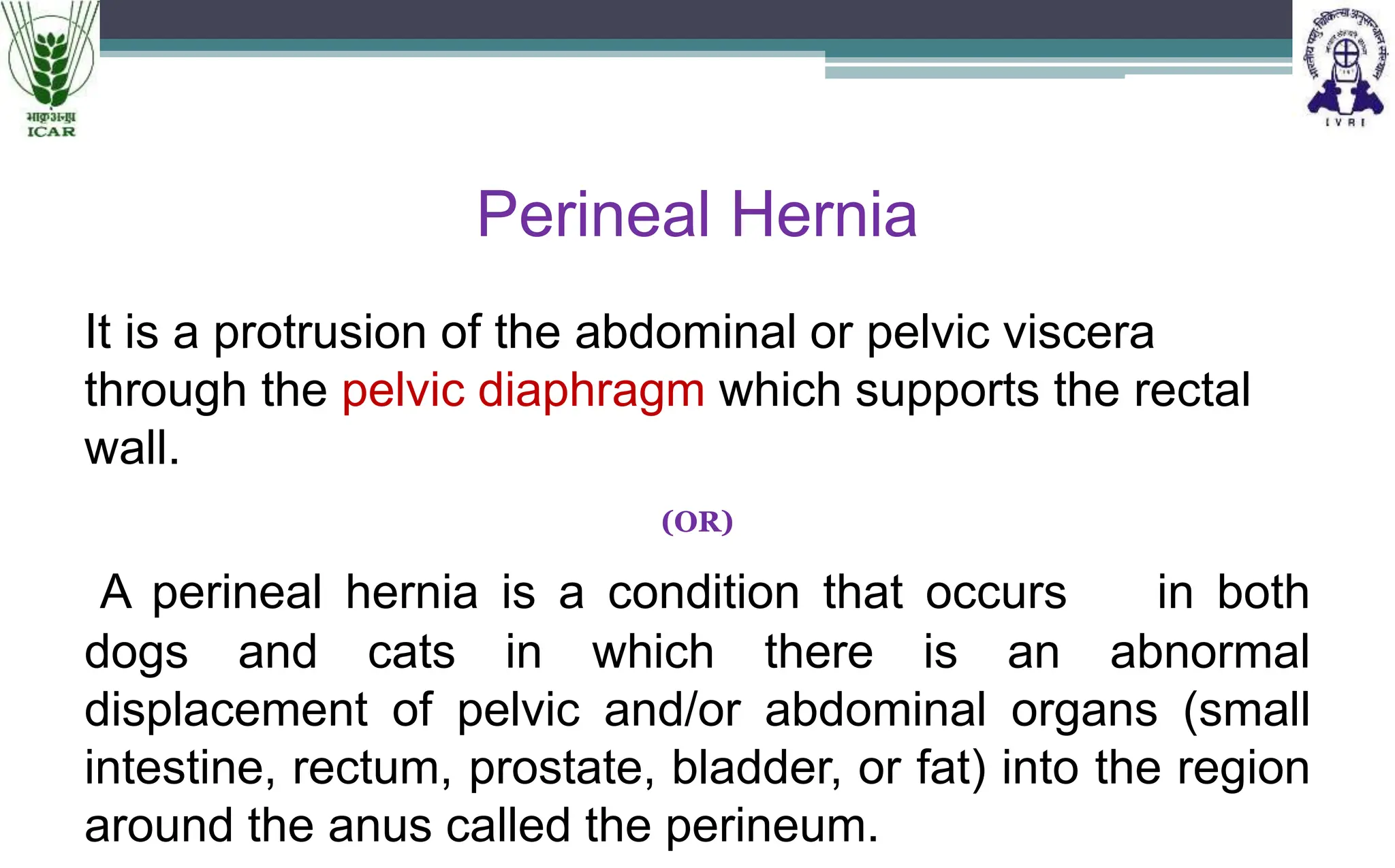 HERNIA ppt of different animal including dog cat cattle buffalo | PPTX
