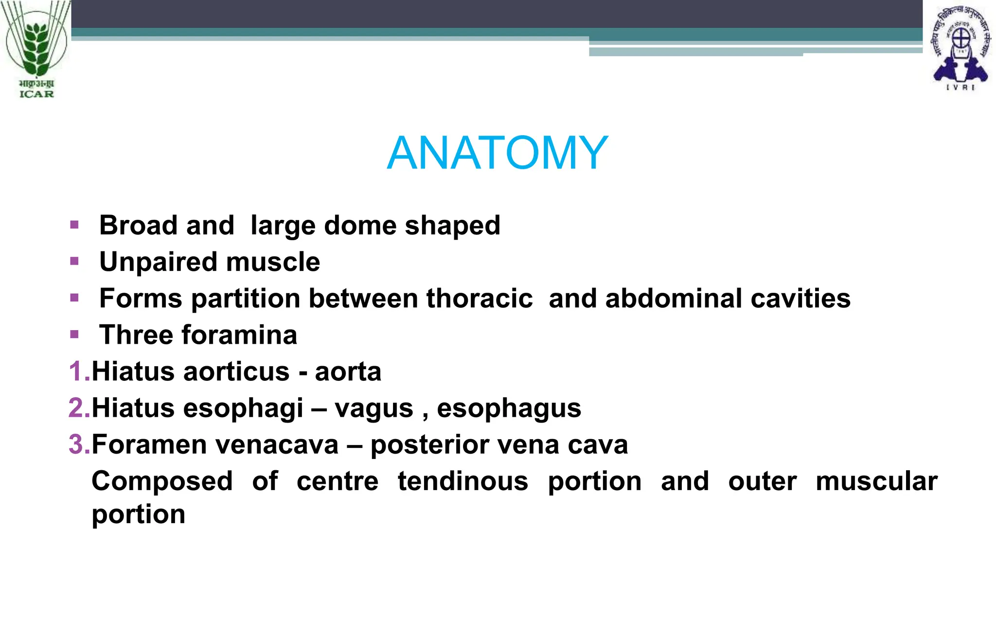 HERNIA ppt of different animal including dog cat cattle buffalo | PPTX