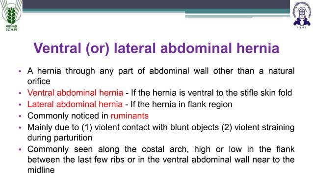 HERNIA ppt of different animal including dog cat cattle buffalo | PPTX ...