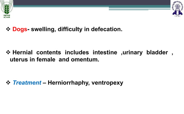 HERNIA ppt of different animal including dog cat cattle buffalo | PPTX ...