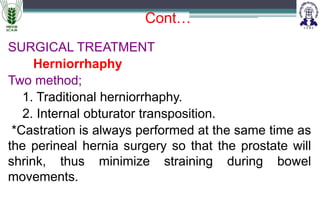 HERNIA ppt of different animal including dog cat cattle buffalo | PPTX