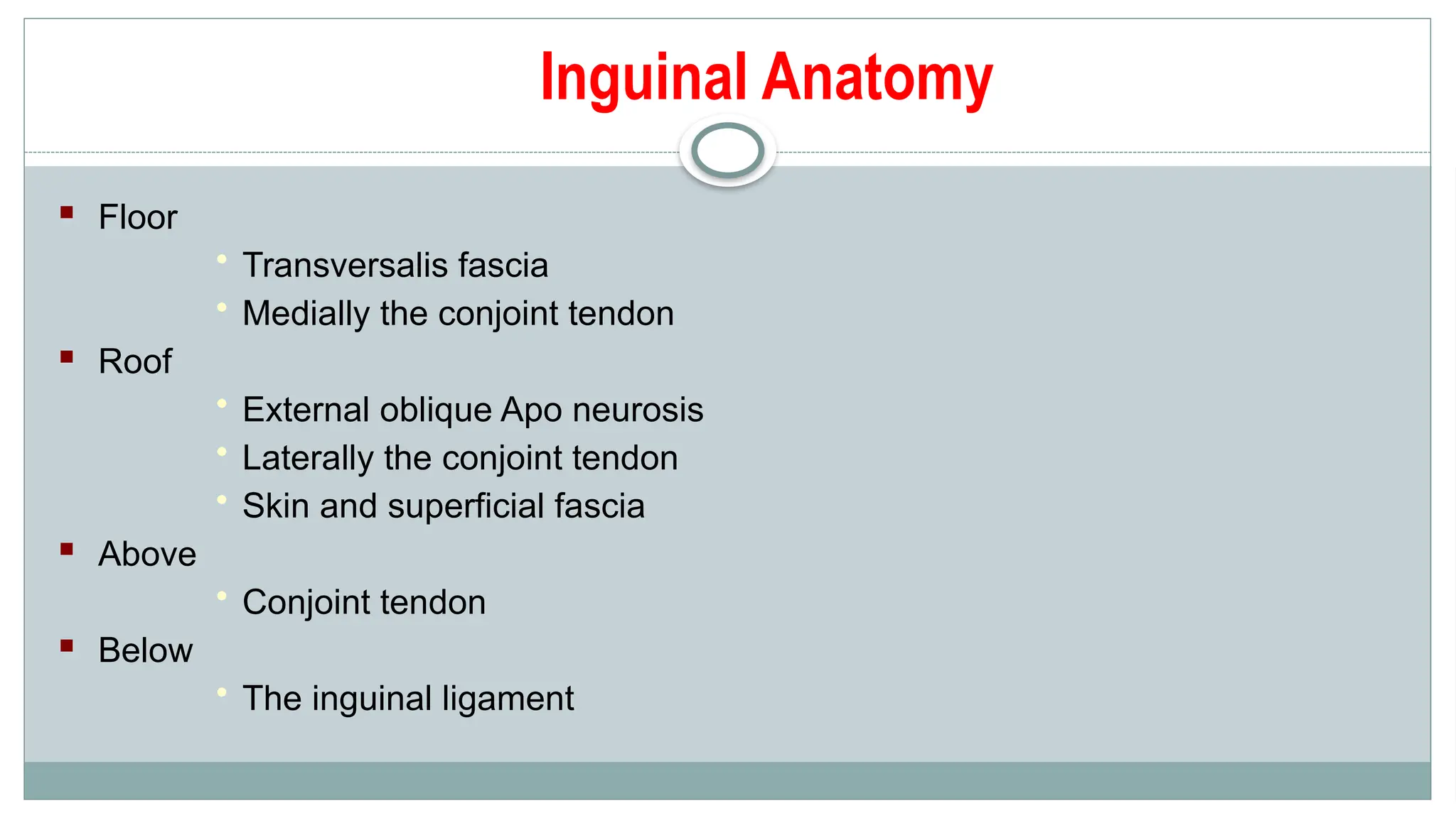 HERNIA anatomy presentation and etiology | PPTX