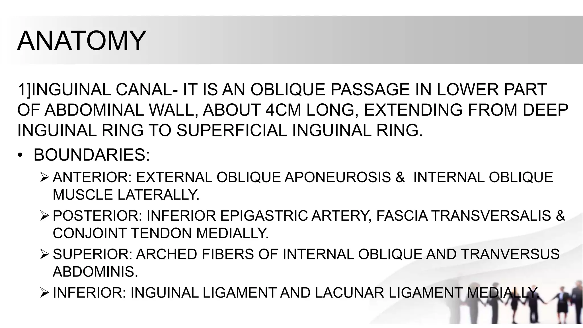 Anatomy and Different types of Hernia | PPTX
