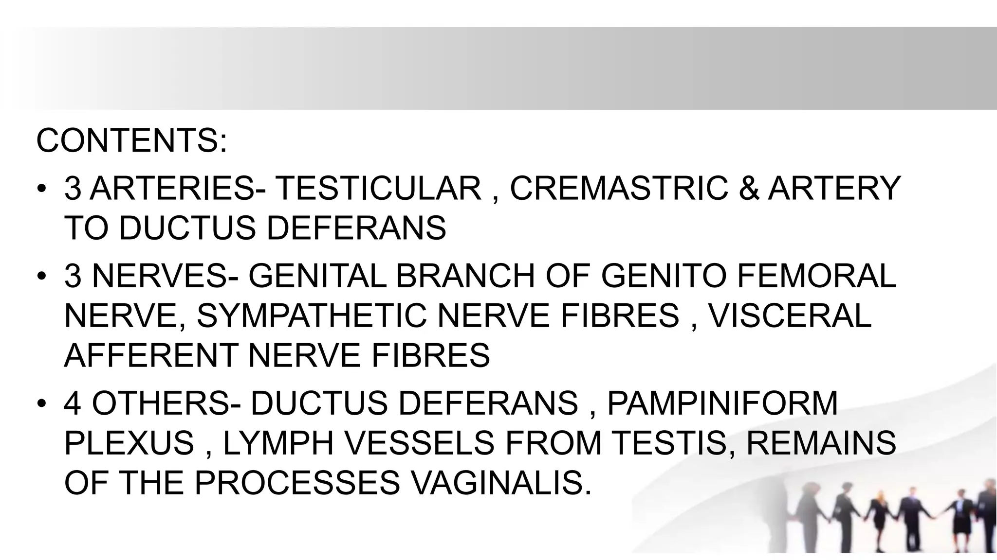 Anatomy and Different types of Hernia | PPTX