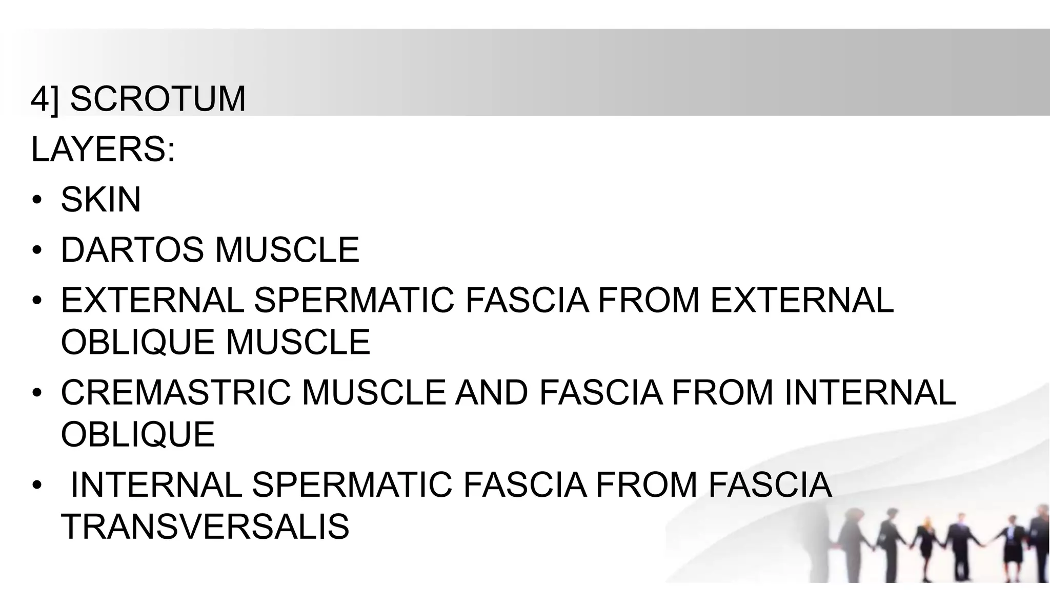 Anatomy and Different types of Hernia | PPTX