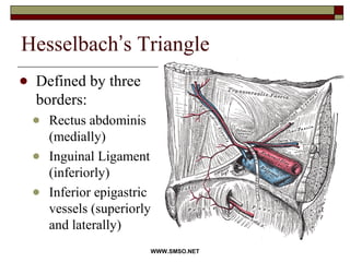Hernia[1] | PPT