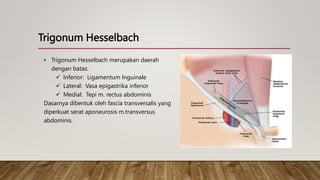 Hernia hidrokel yuk iuydiskshajakasu.pptx