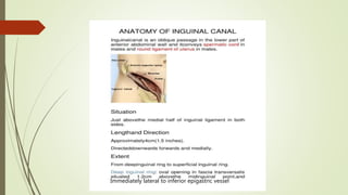 UG CASE PRESENTATION ON INGUINAL HERNIA | PPTX