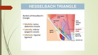 UG CASE PRESENTATION ON INGUINAL HERNIA | PPTX