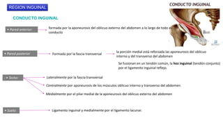 hernia inguinal.pptx
