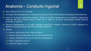Hernia Inguinal.pptx