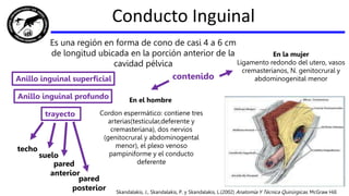 Hernia Inguinaljkkkkkllkklllllklkkkkk.pptx