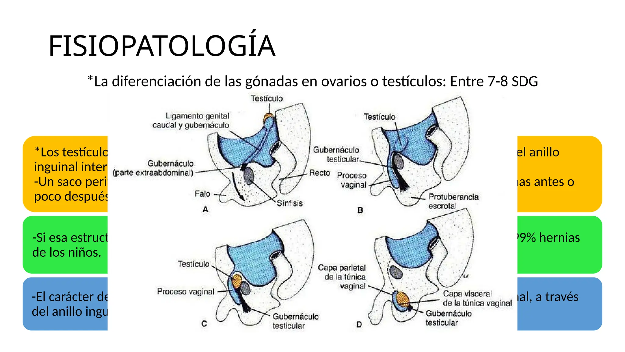 Hernia inguinal.pptx MEDICINA SALUD DEFINICION | PPTX