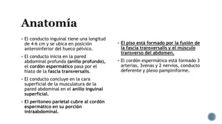 Hernia inguinal | PPTX