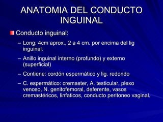 Cirugía de la Hernia inguinal | PPT