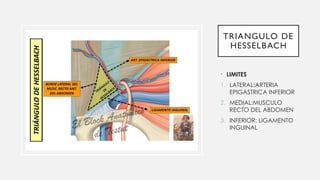 diapositivas de hernia inguinal y su fisiopatologia | PPTX