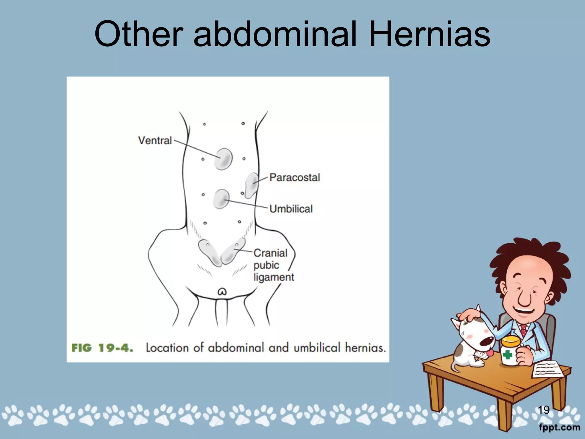 Hernia in small animals | PDF