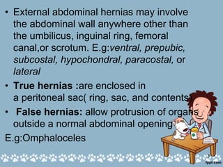 Hernia in small animals | PDF