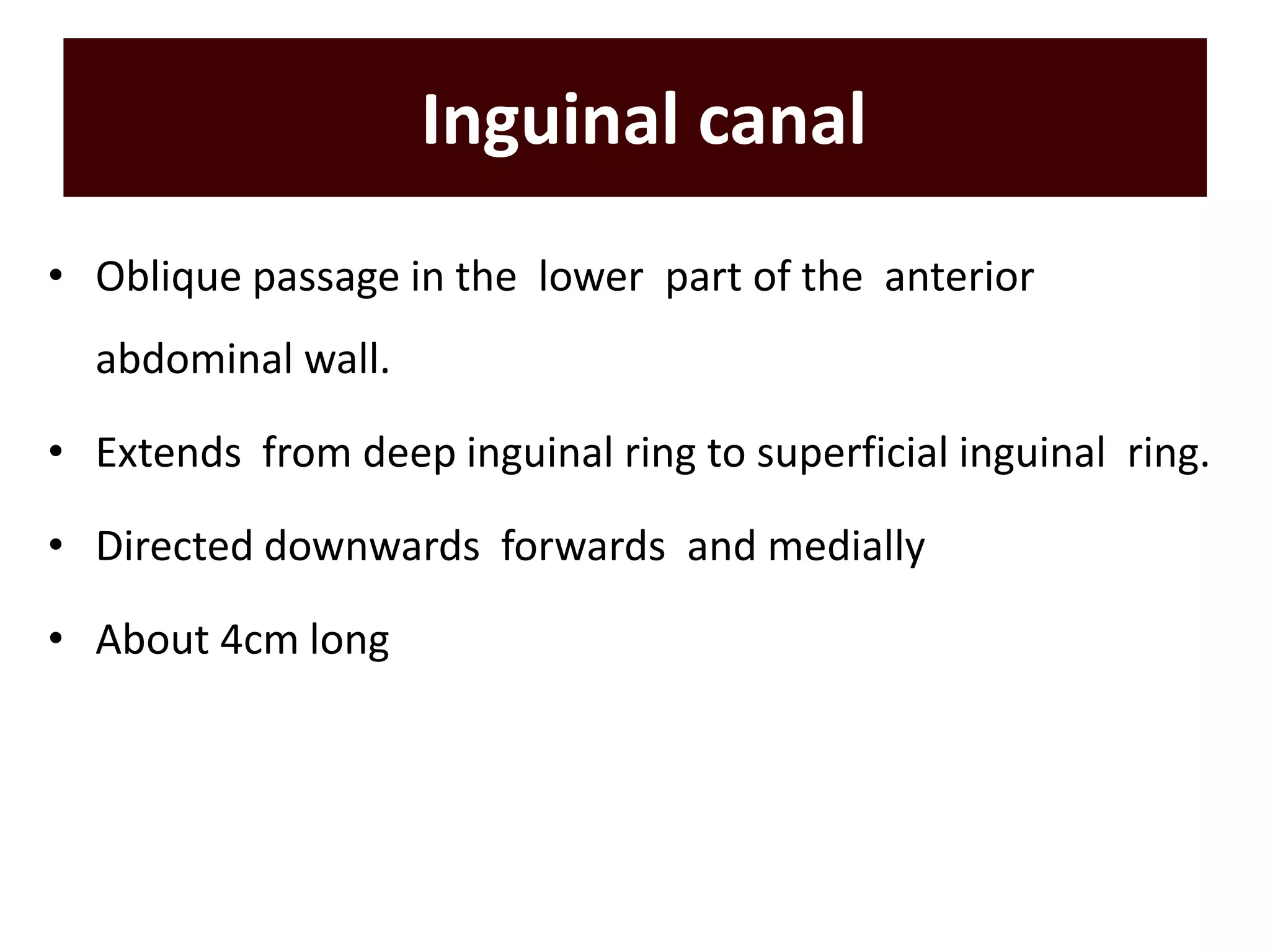 Hernia Lecture notes.pptx