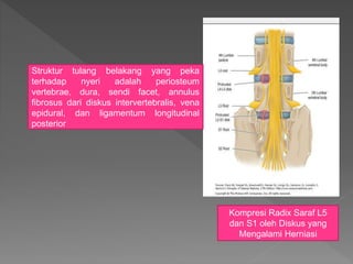 HERNIA NUKLEUS PULPOSUS.pptx