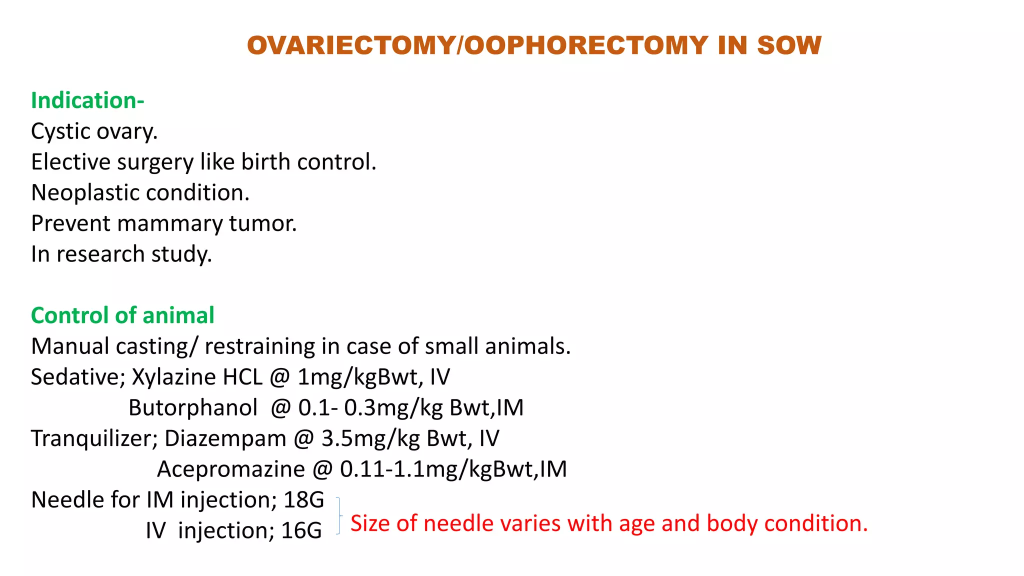 Hernia & ovarioectomy in sow | PPTX | Digestive Disorders | Diseases ...