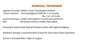 Hernia & ovarioectomy in sow | PPTX