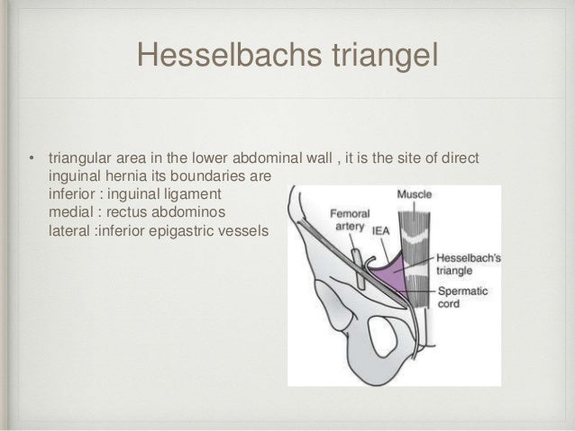 Hernia
